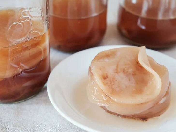 Caffeine In Kombucha: The Hidden Ingredient You Didn't Know About ...