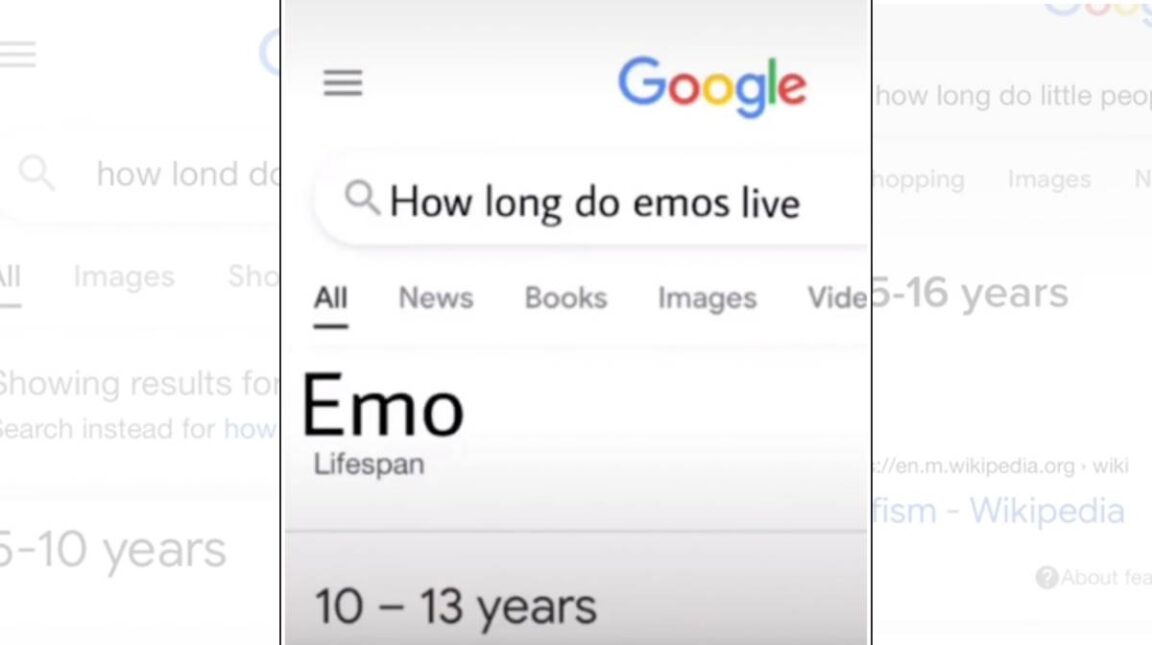 How Long Do Emos Live Explained: The Meme That Broke The Internet ...